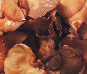 Aloe Vera Farm Fresh | Kin Yan