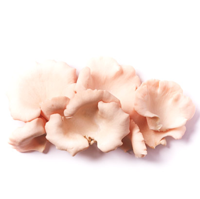 Farmers Market | Kin Yan