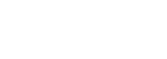 Farm Mushrooms | Kin Yan