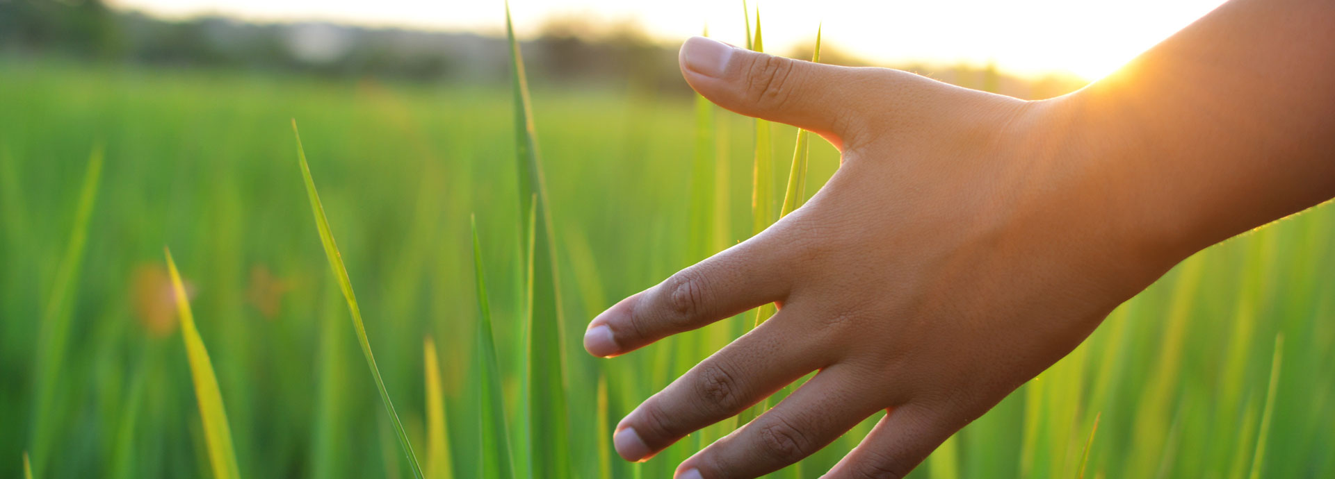 Public Farm Visits | Kin Yan