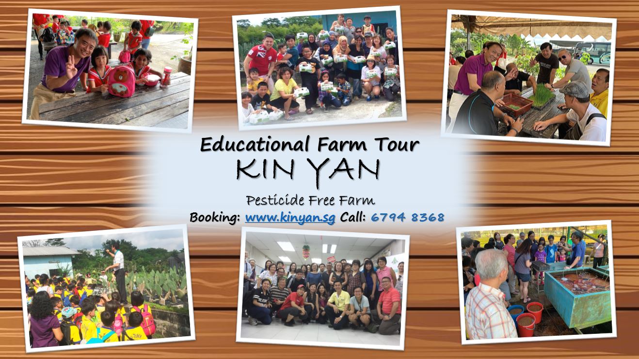 Activities | Kin Yan